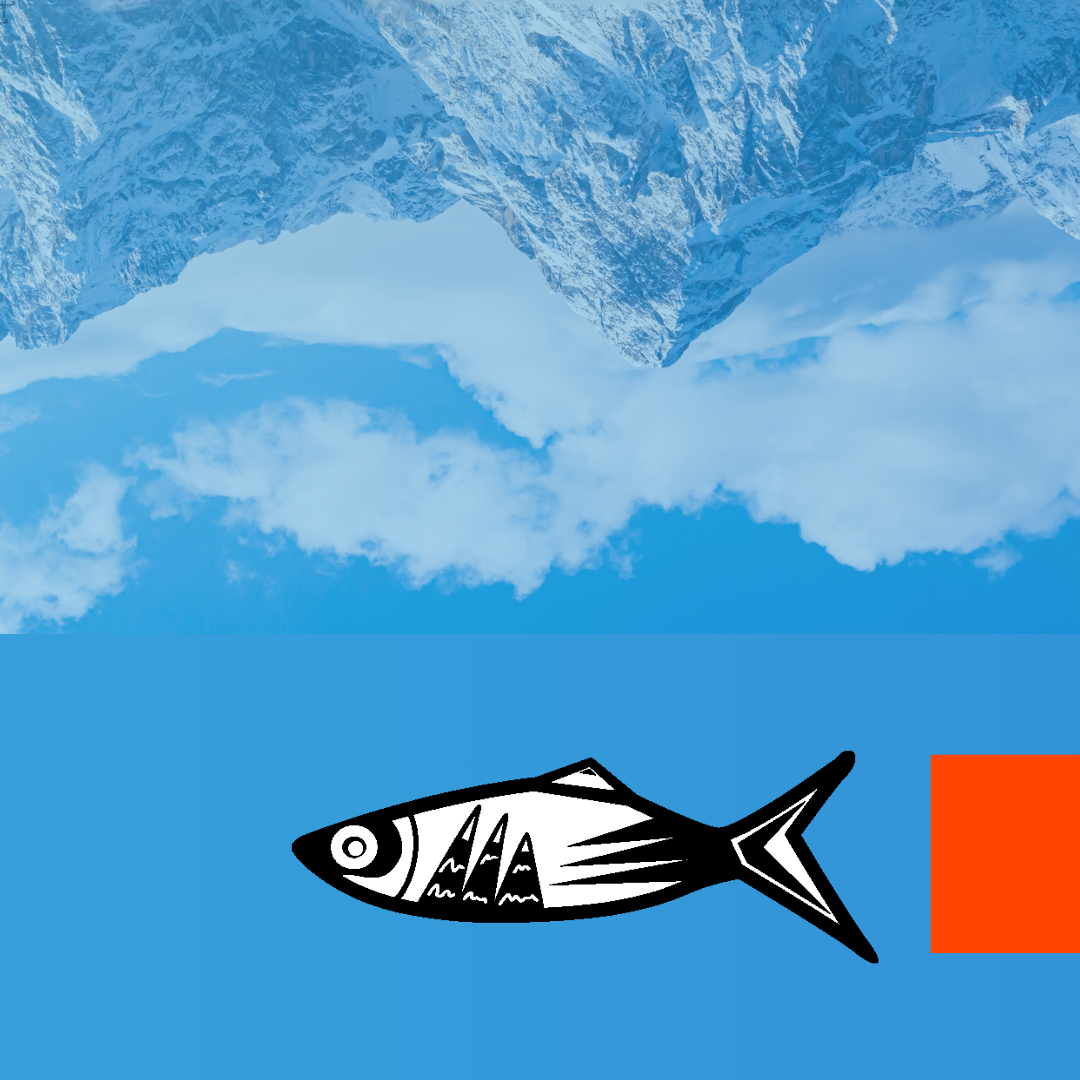 5th Italian Zebrafish Meeting | Eventi | UniTN